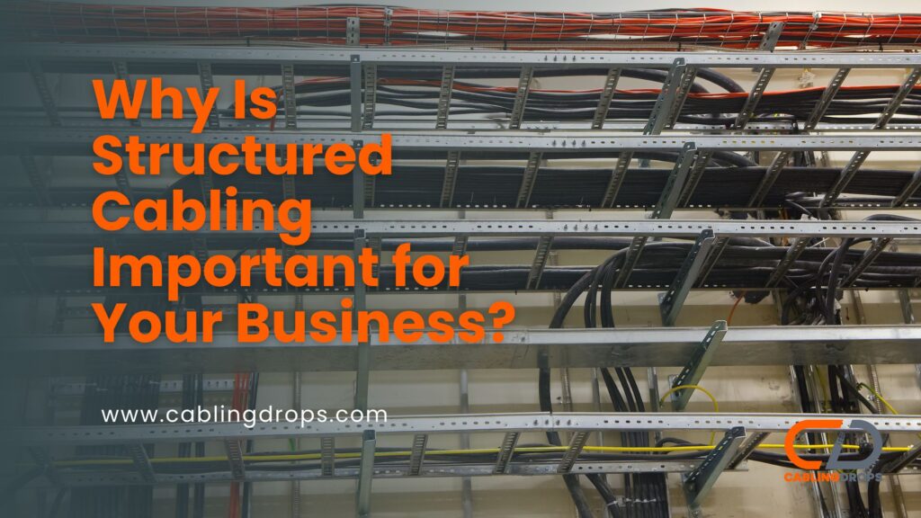 Why Is Structured Cabling Important for Your Business in 2024?