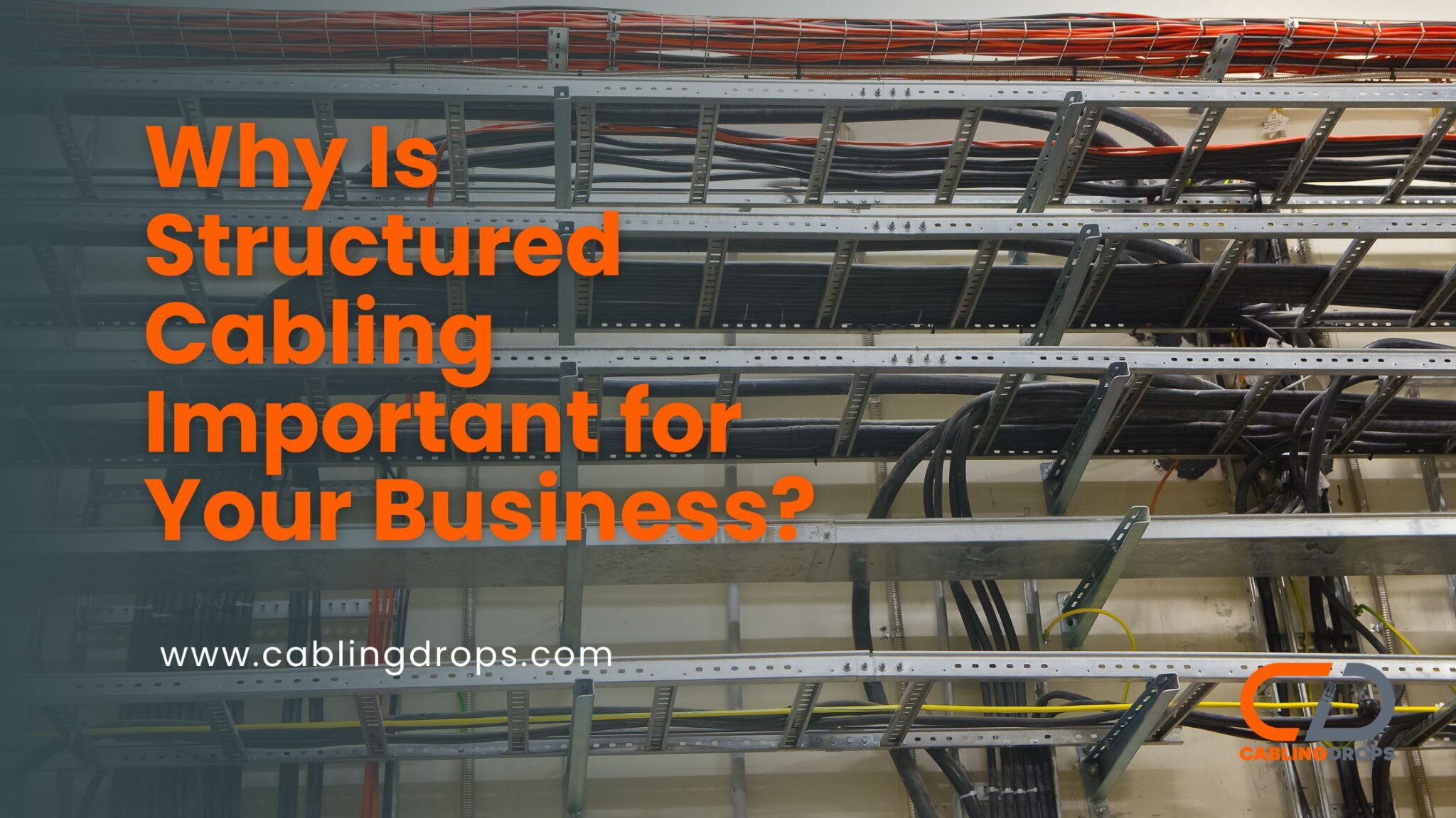 Why Is Structured Cabling Important for Your Business in 2024?